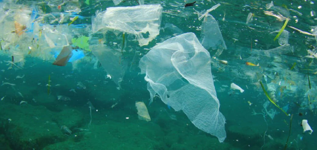 Ikebana Dissolvable Wrapping Paper | Waterleaf Paper - Waterleaf Paper ...